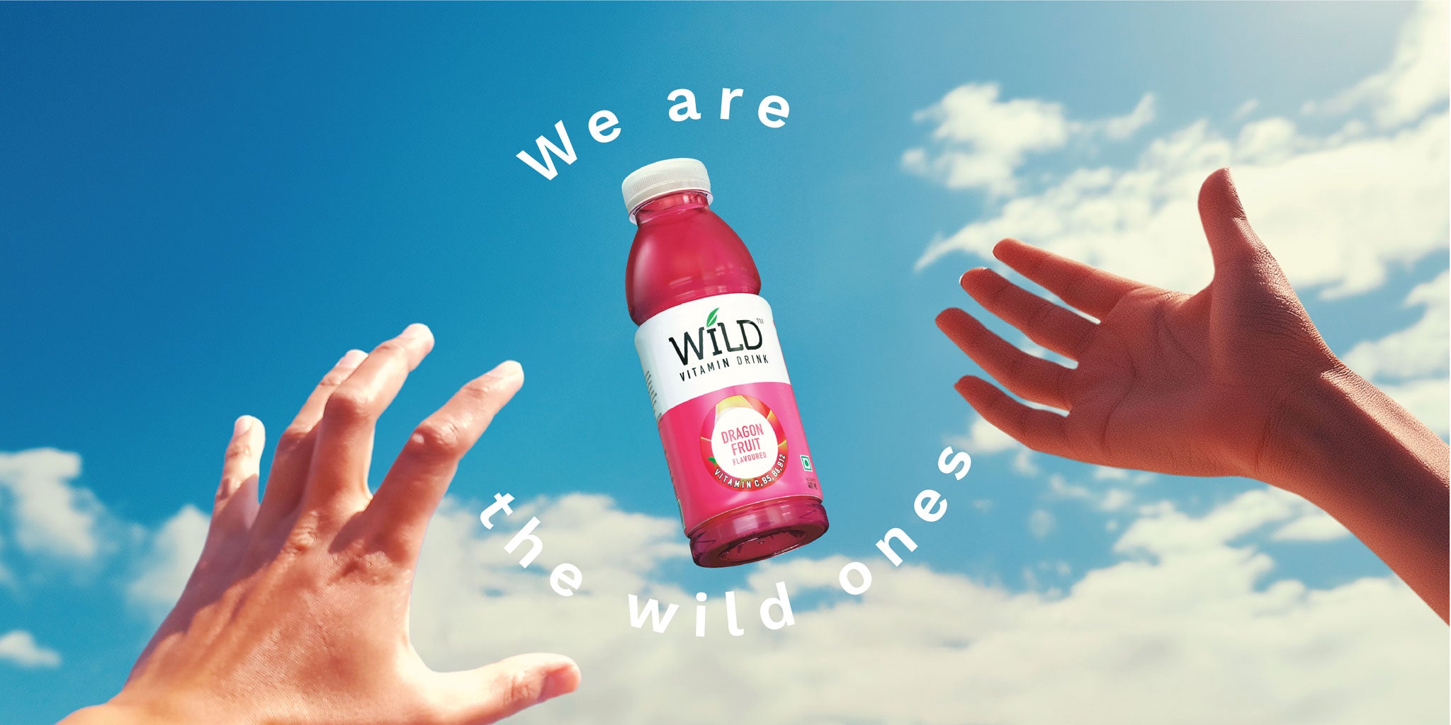 About Us – Drinkwildwater.com